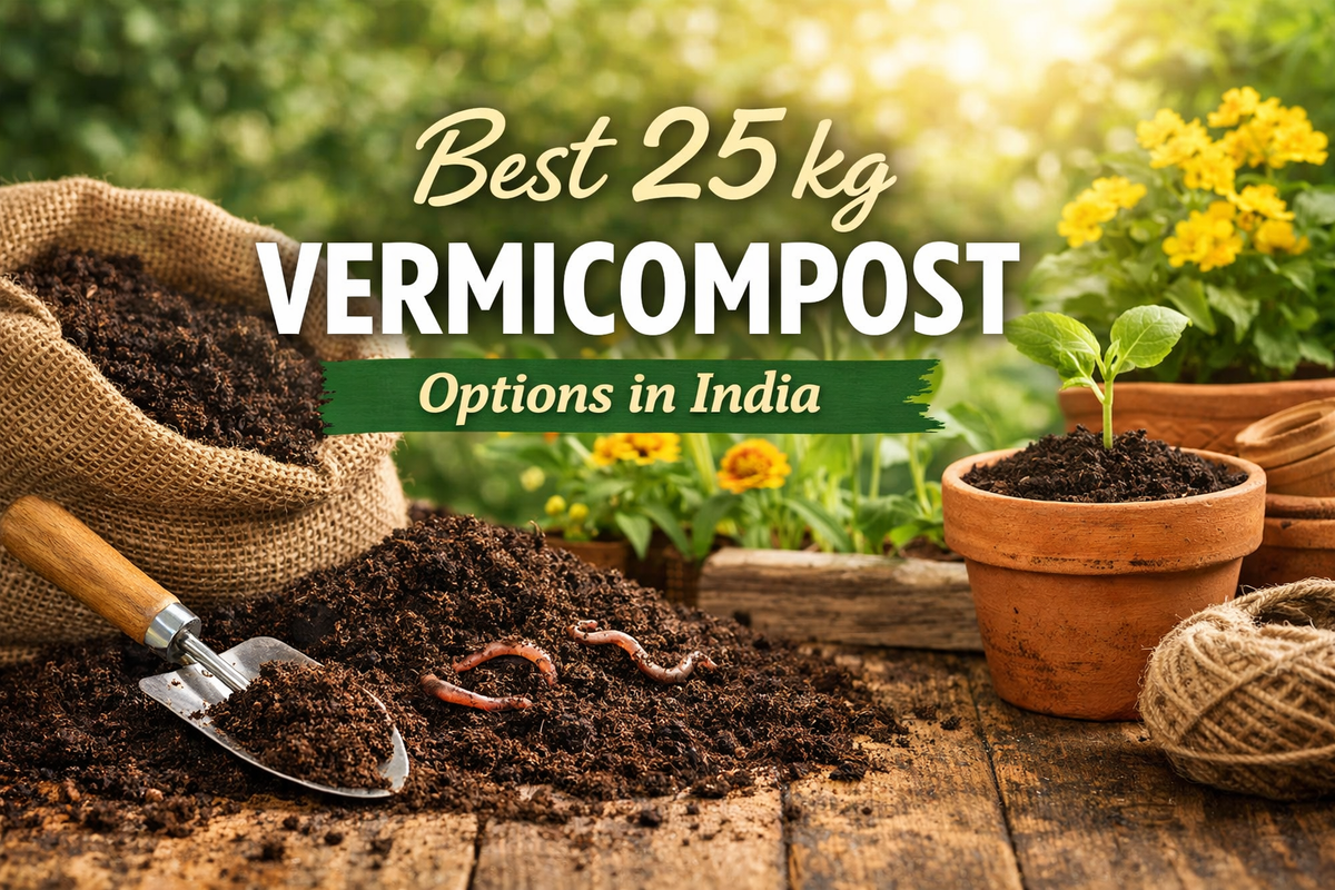 Buying Vermicompost in 25 kg: Which One Is the Best and Why It Matters ...