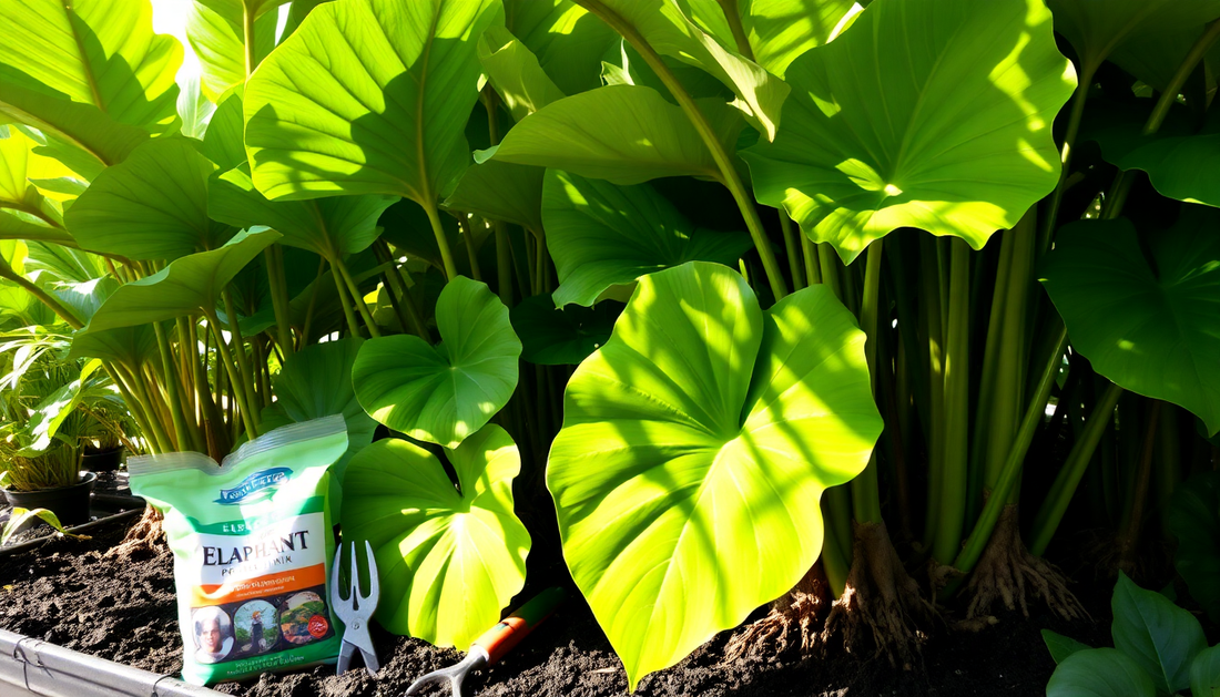 The Perfect Potting Mix for Thriving Elephant Ear Plants – Idyl